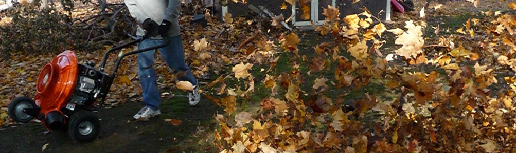 Commercial Wheeled Leaf Blowers. Push & Towed Professional Leaf Blowers