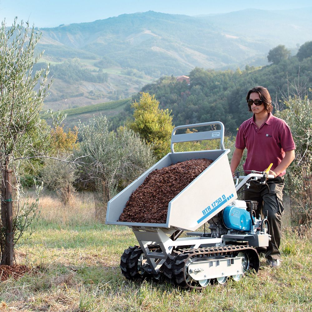 Bertolini 401 S Two Wheel Tractor with 92cm Scythe
