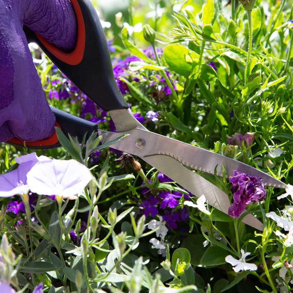 Wilkinson Sword Razorcut Comfort Pruning Snips 1111159W