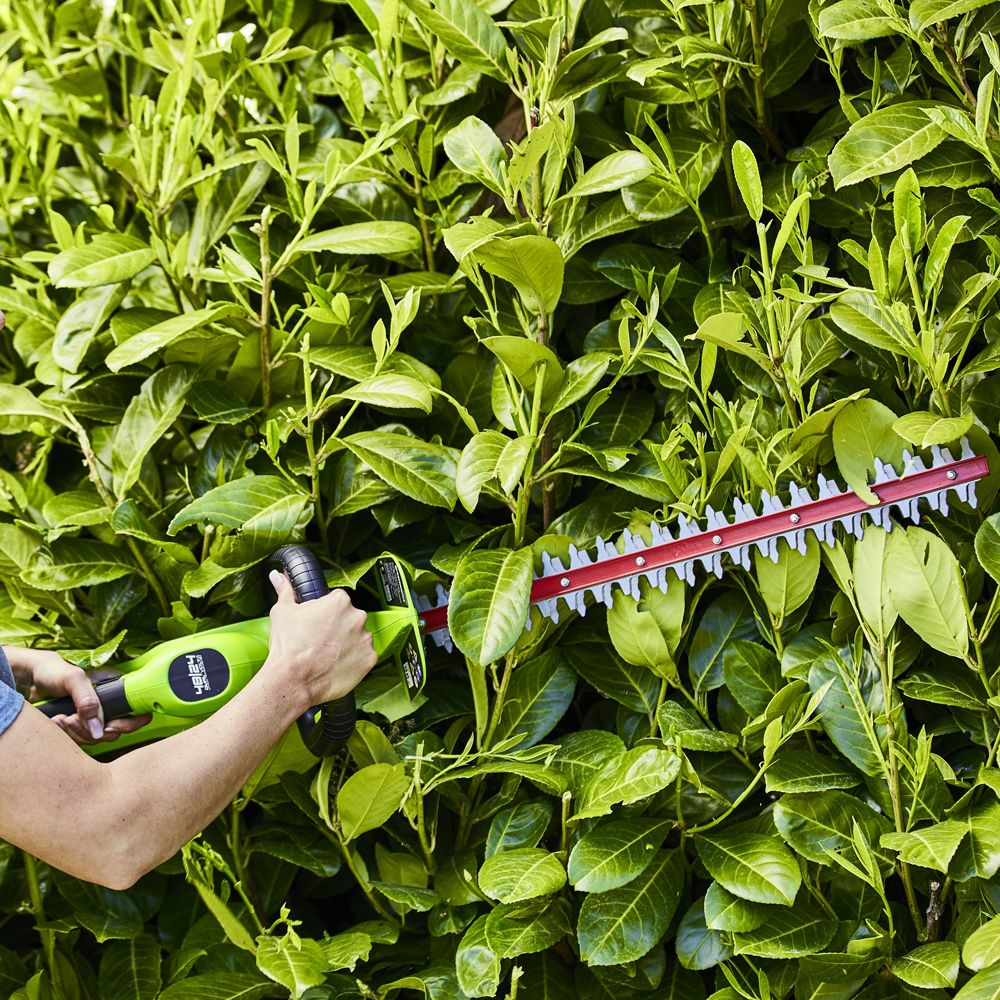 GreenWorks 24V 2-in-1 24V Cordless Shrub Shear (Bare Tool)