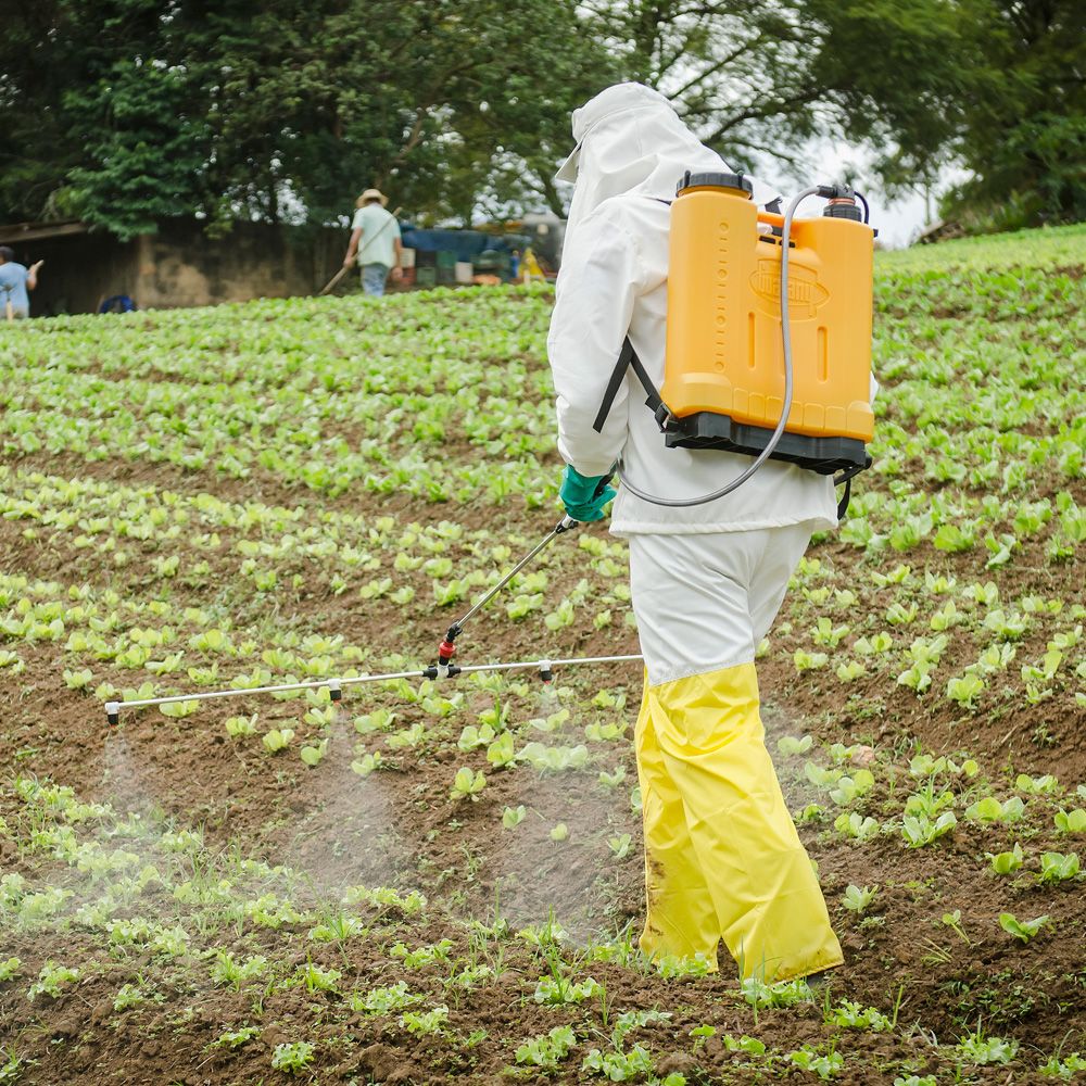 Solo 473D Classic 10 Litre Backpack Sprayer - The Green Reaper