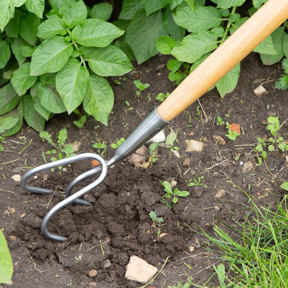 Wilkinson Sword Stainless Steel Weeding Hoe 1111372W